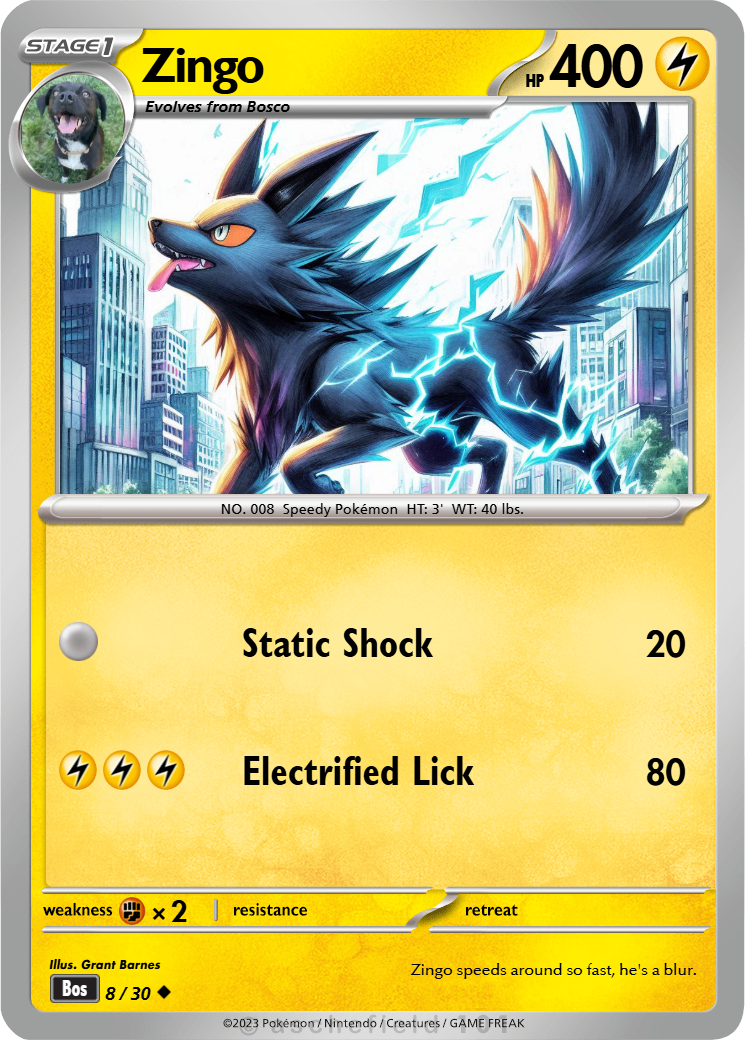 Zingo - sus_lizard | Pokécardmaker.net