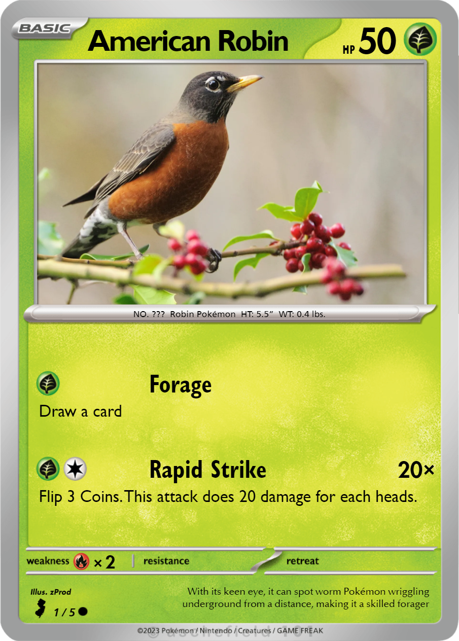 American Robin - zprod | Pokécardmaker.net