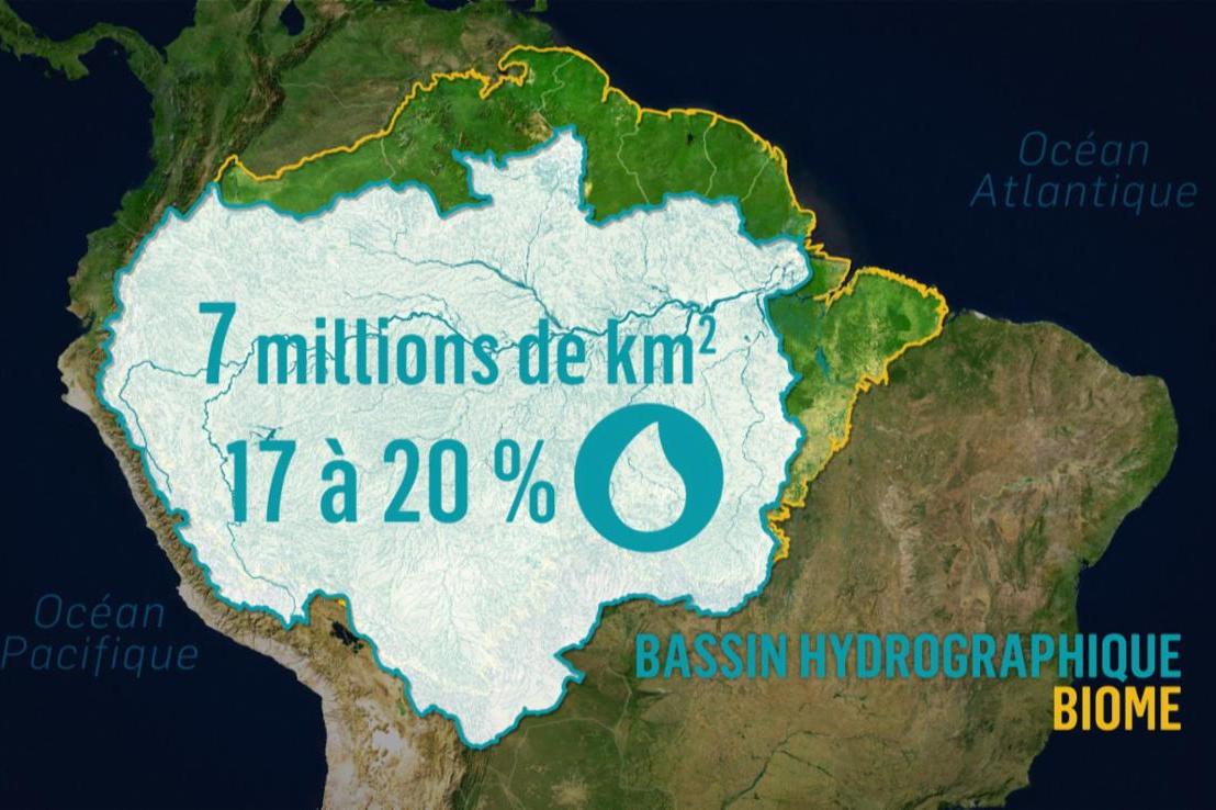 AMAZONIA: THE PLANET'S LUNG