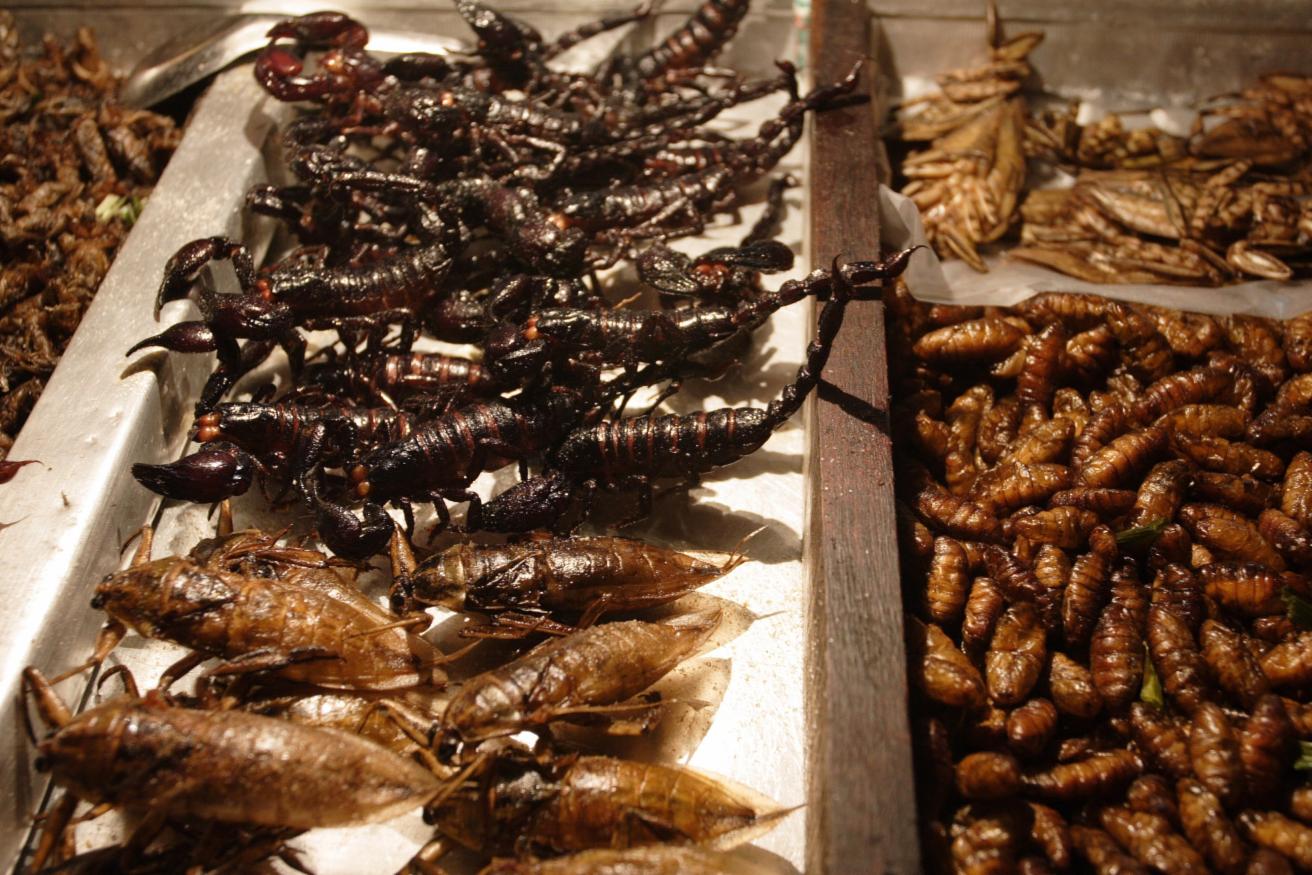 7 - THAI INSECT FAST FOOD