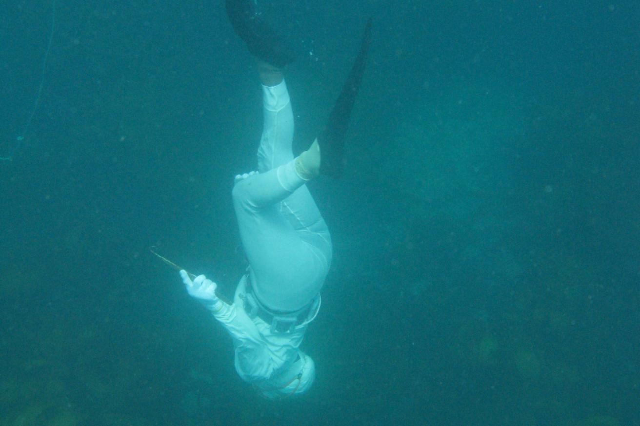 66 - THE SEAWOMEN OF JAPAN