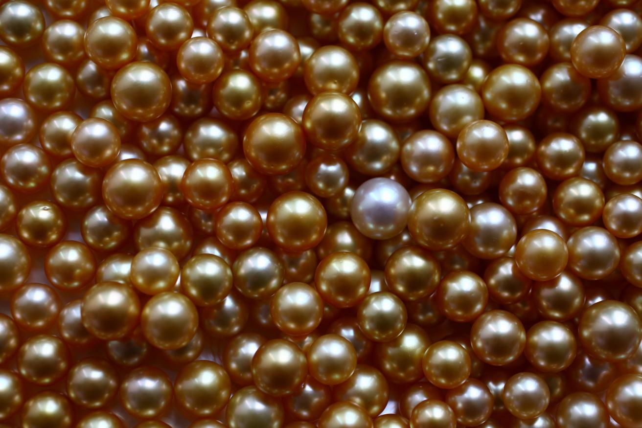 101 - PALAWAN'S PEARL EMPIRE