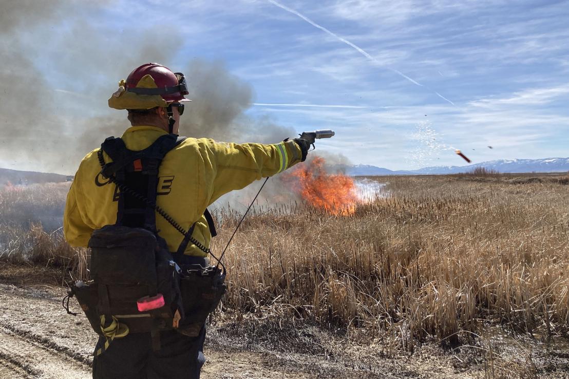 USA : CALIFORNIA, FIGHTING FIRE WITH FIRE
