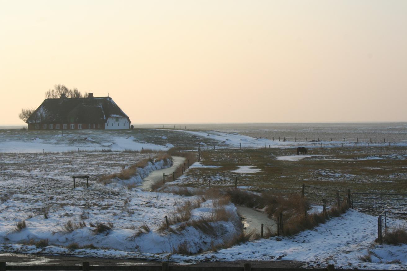 110 - LIFE ON THE HALLIGEN ISLANDS