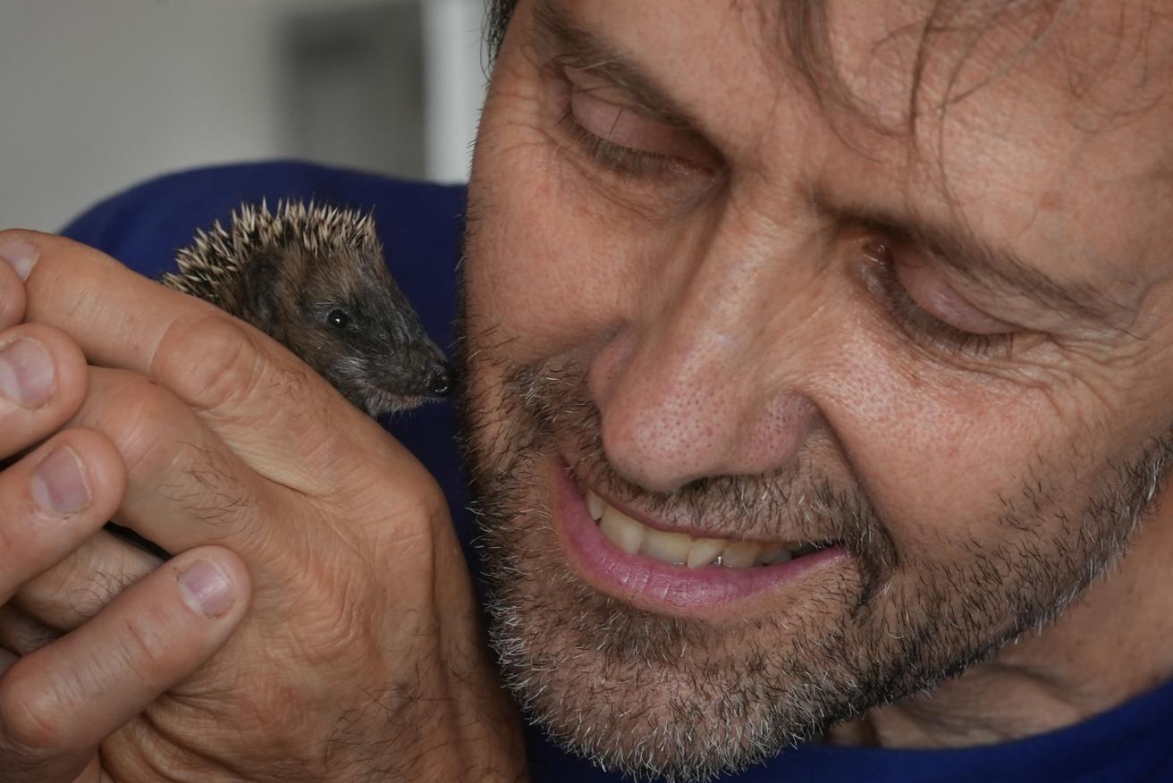 370 - ITALY, HEDGEHOG REFUGE