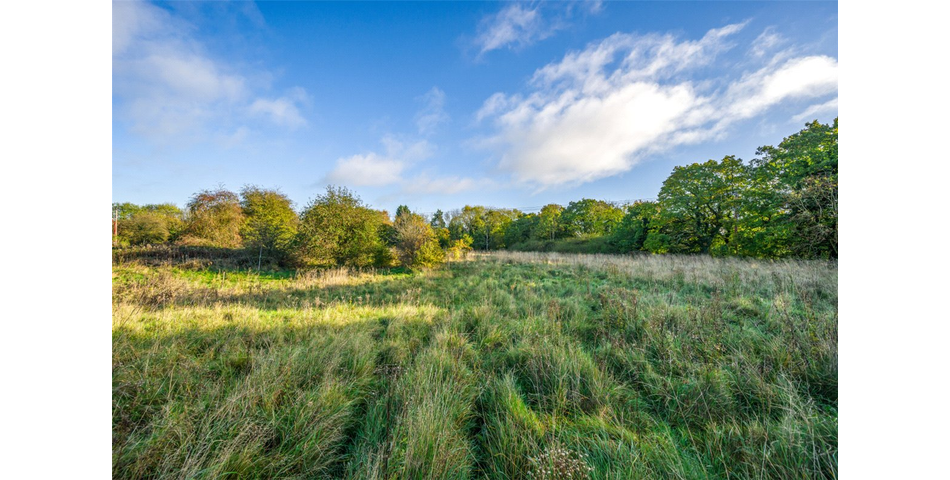 Bamboo Auctions Property - Land West of Skip Lane, WS5 3RA