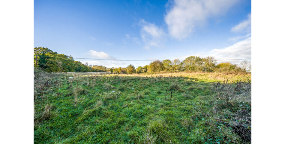 Bamboo Auctions Property - Land West of Skip Lane, WS5 3RA