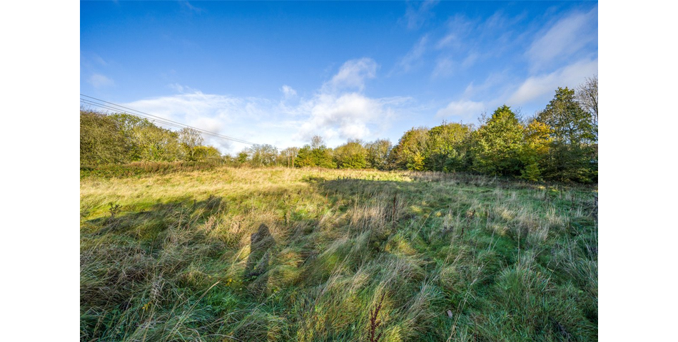 Bamboo Auctions Property - Land West of Skip Lane, WS5 3RA