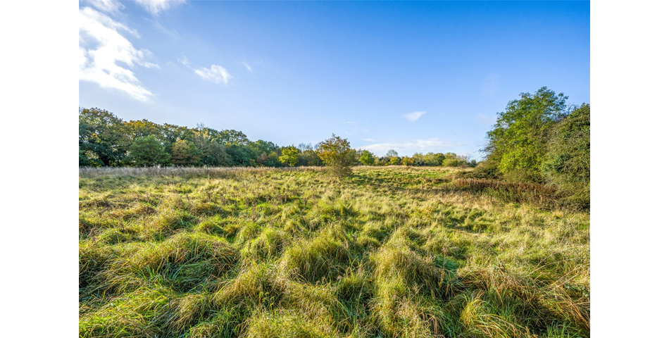 Bamboo Auctions Property - Land West of Skip Lane, WS5 3RA