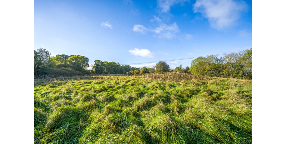 Bamboo Auctions Property - Land West of Skip Lane, WS5 3RA