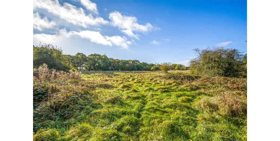 Bamboo Auctions Property - Land West of Skip Lane, WS5 3RA