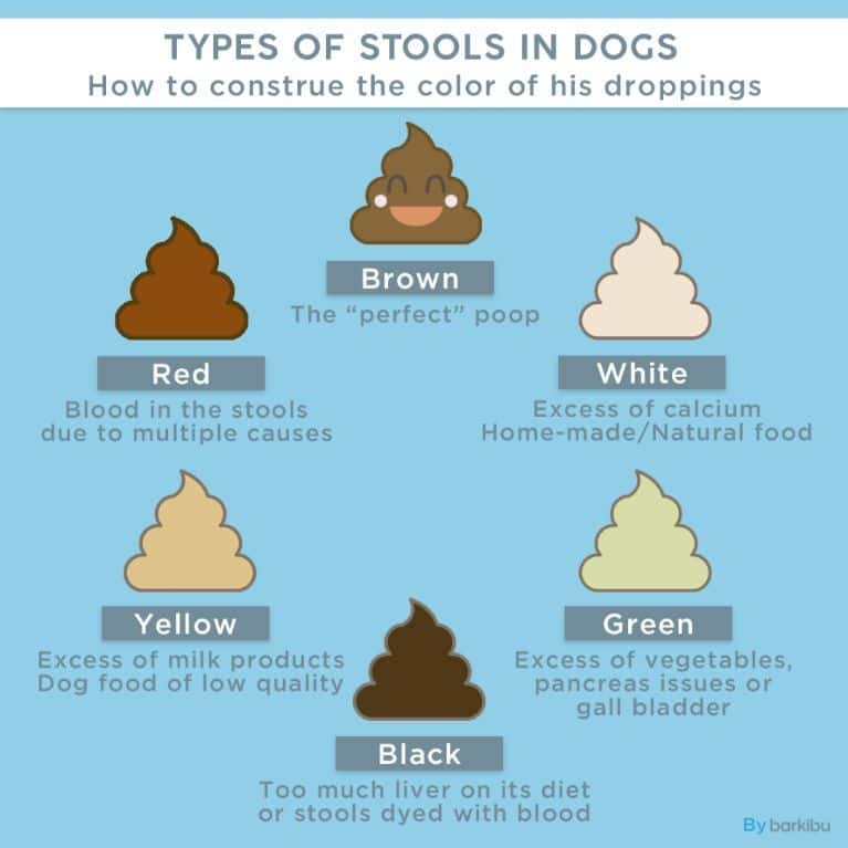 Dog Poop Color Chart Coloring Dog Poop Color Chart Coloring