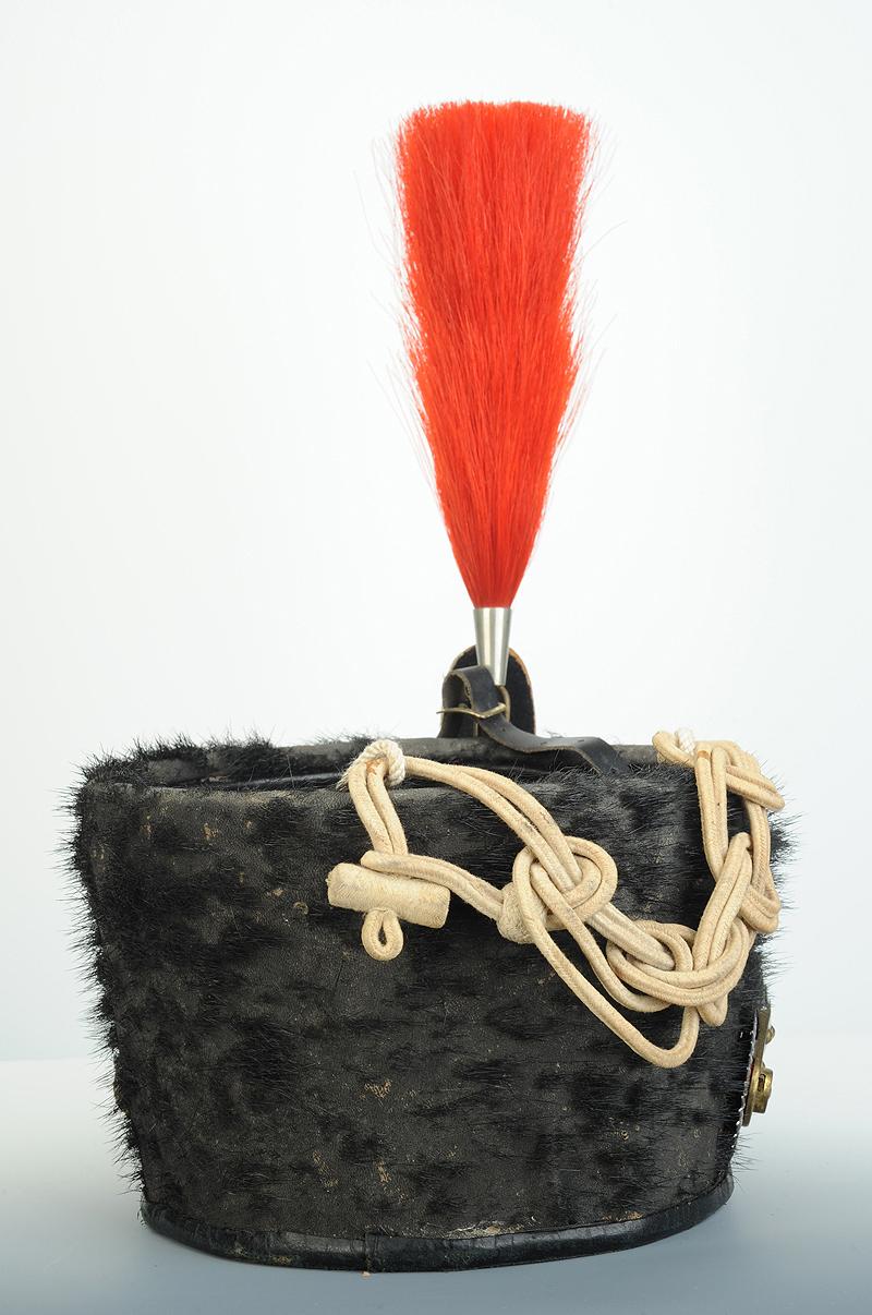 COLBACK TROUPE DE HUSSARD PRUSSIEN DES 3, 5, 11 au 14 et 16ème ...