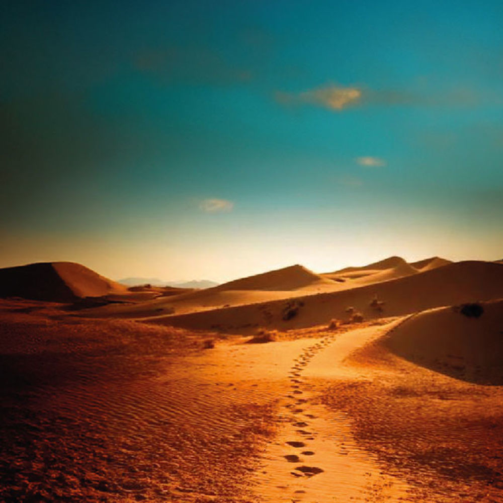 VIII Conferencia Bronislaw Malinowski | Lagenda