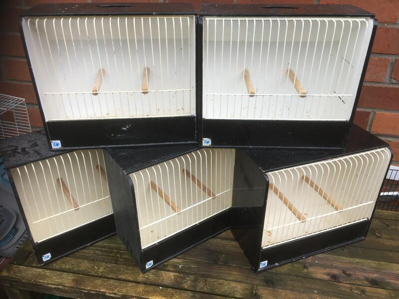 Budgie show cages | Birdtrader