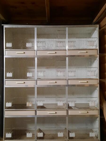 Gehu cages for sale block of 12 | Birdtrader