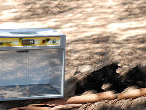 Inca Automatic Incubators and Brooders | Birdtrader