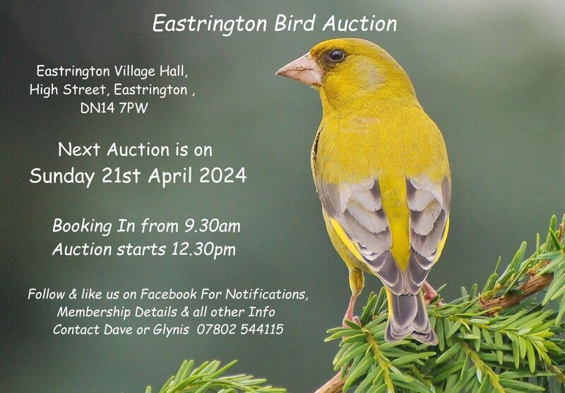 Eastrington Bird Auction - 21st April 2024 - East Yorkshire | Birdtrader