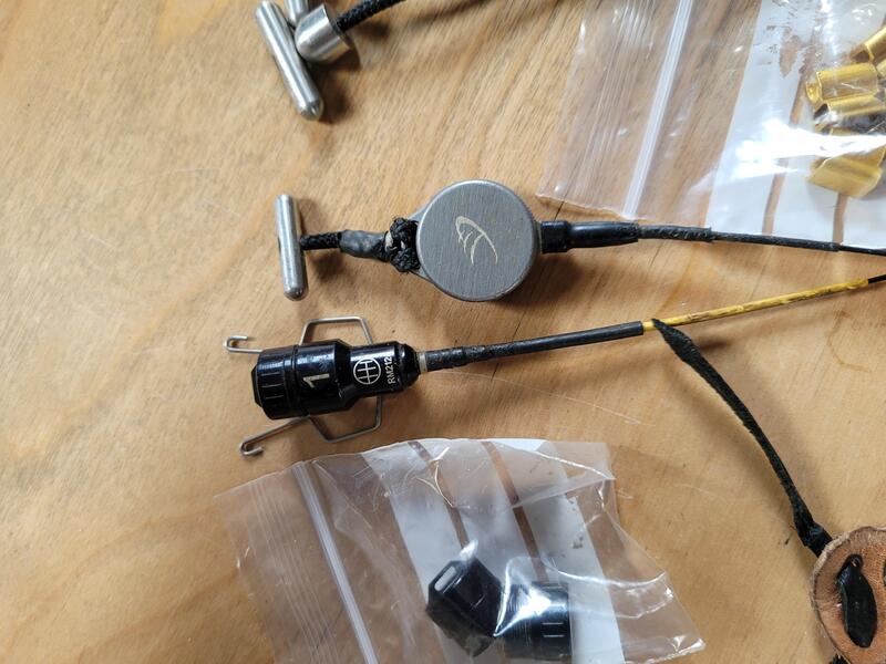 Female Harris Hawk with field Marshall 100 receiver and 2 transmitters ...