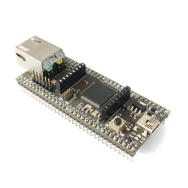 LPC1769 Ethernet | Development Board | Black Ram Electronics