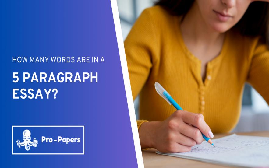 How Many Words Are in a 5 Paragraph Essay? Writing Guide