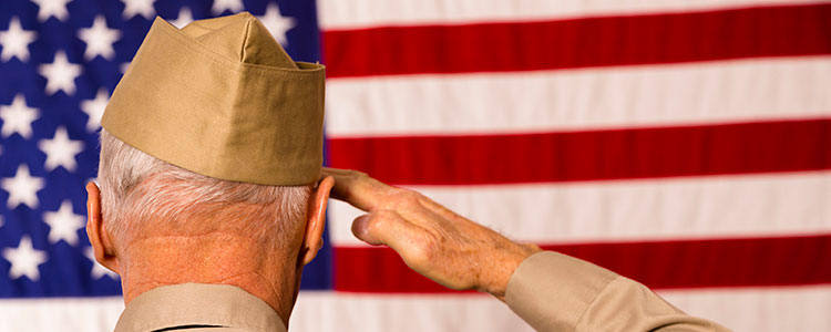 Essays About Veterans Undoubtedly Useful Writing Guide