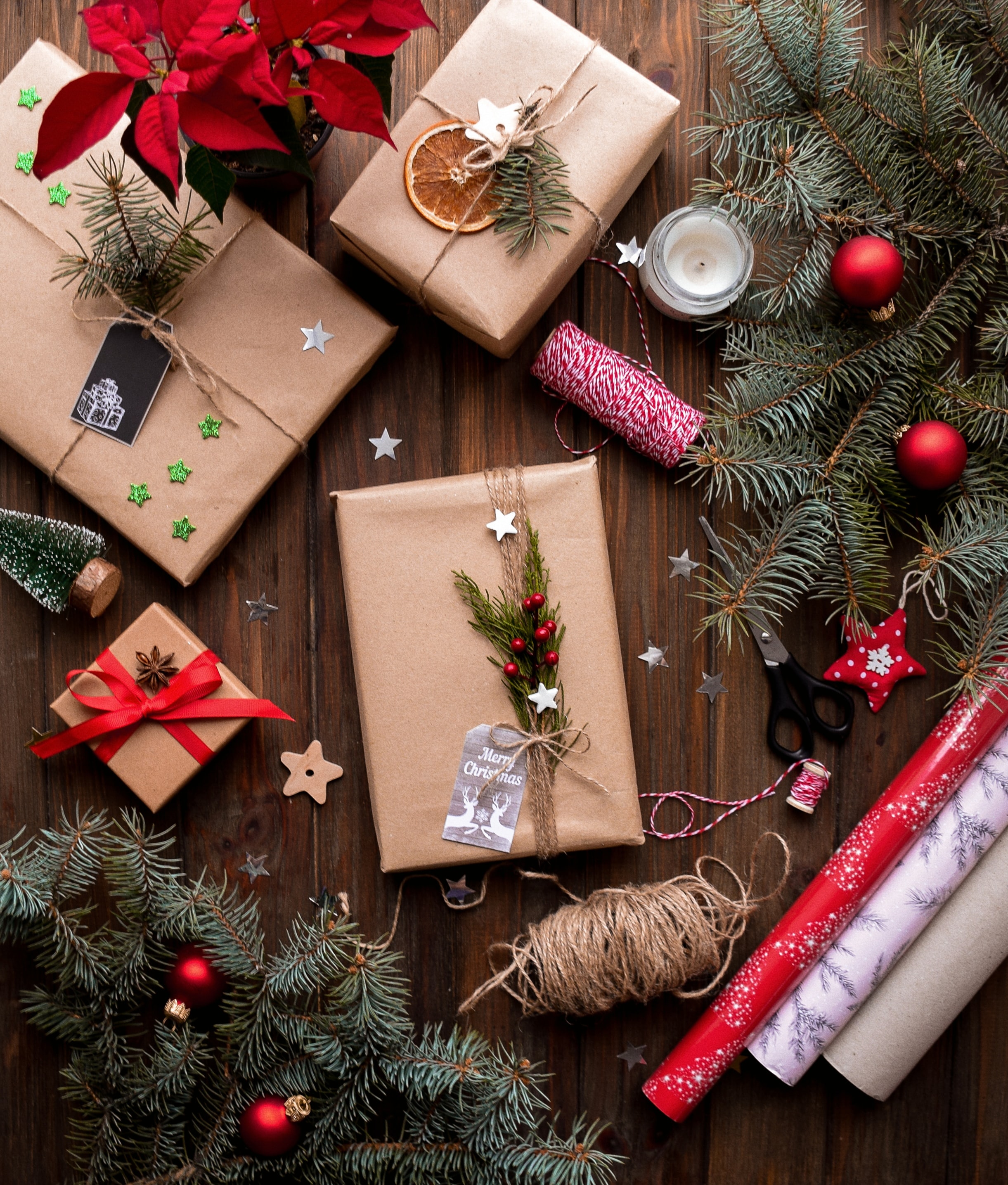 How to give a tree as a gift? 6 tips for a beautiful present | EcoTree