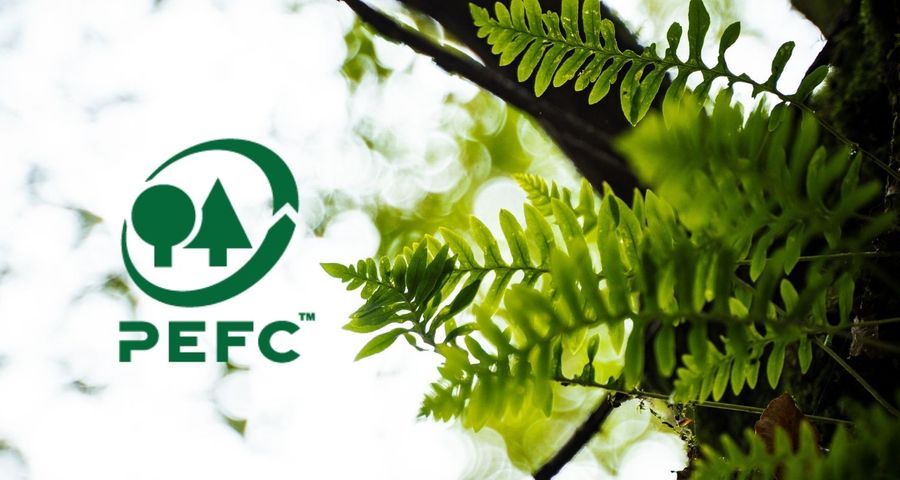 What does the PEFC Certification mean for Sustainable Forestry? | EcoTree