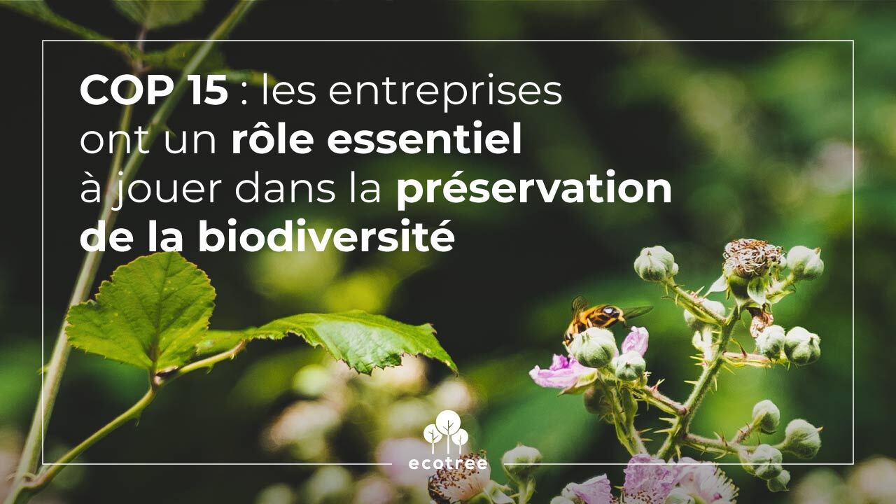 COP 15 de la biodiversité : que faut-il en retenir ? | EcoTree