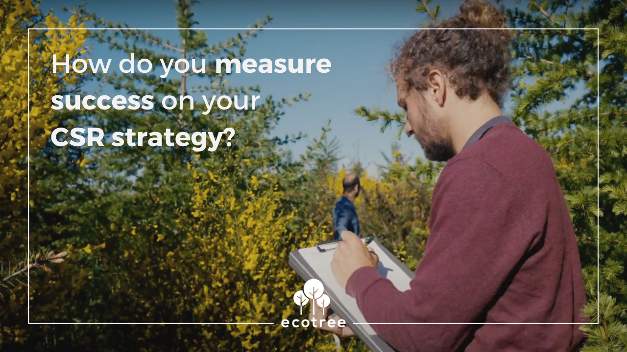 How do you measure success on your CSR strategy? | EcoTree