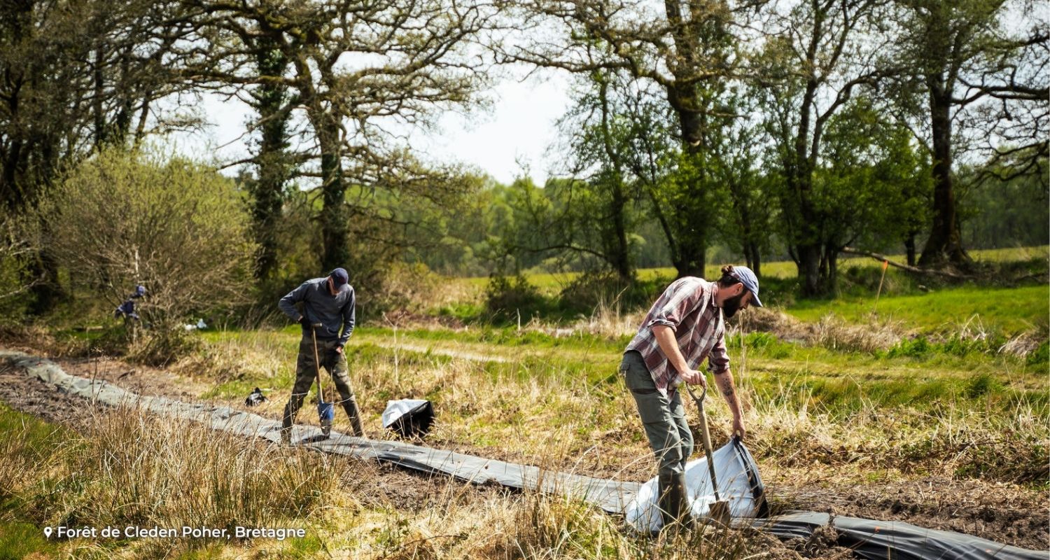 Ouvrier forestier : comment on le devient, quel est le métier ? EcoTree