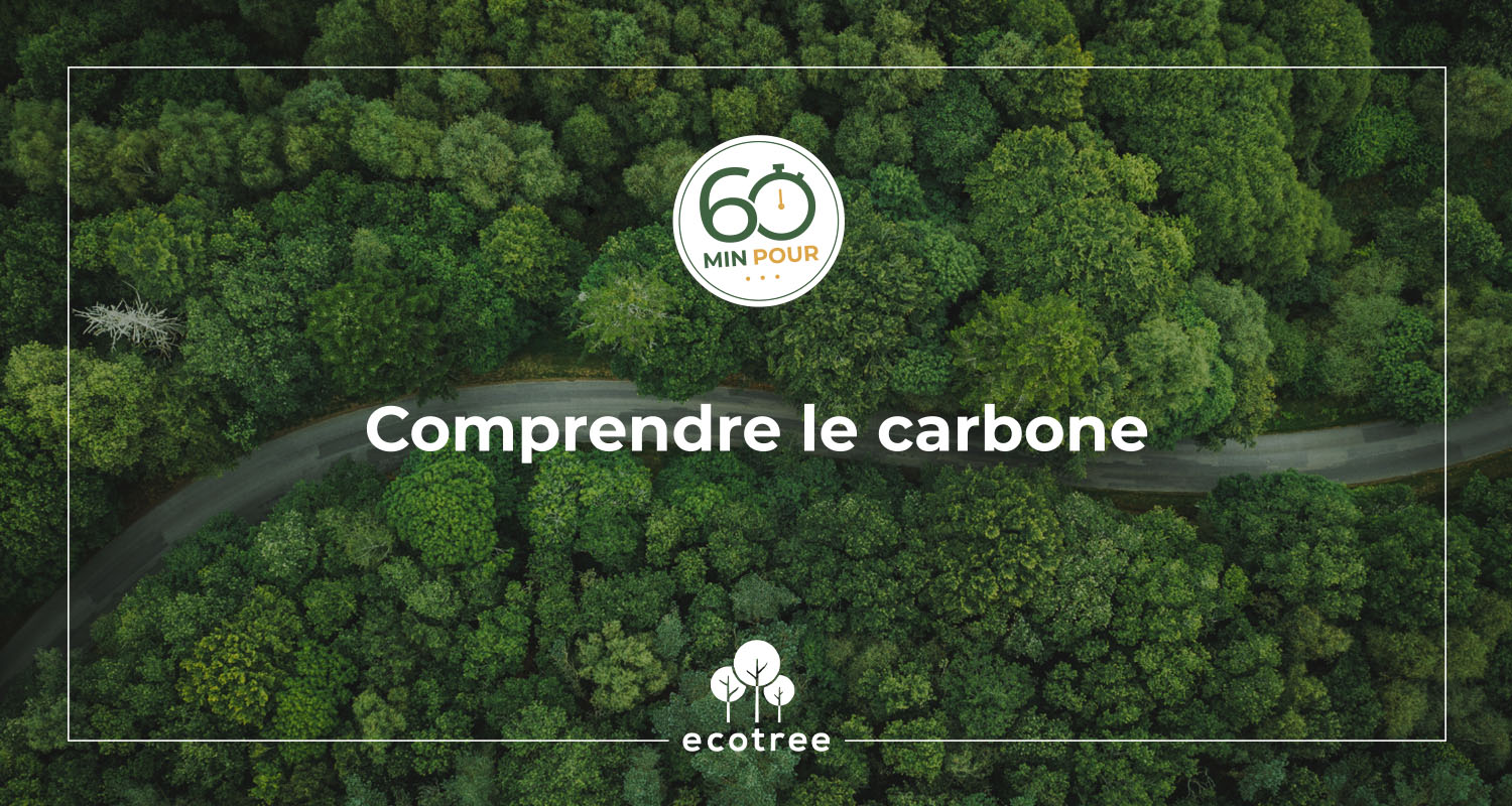 60 minutes pour comprendre le carbone ! | EcoTree