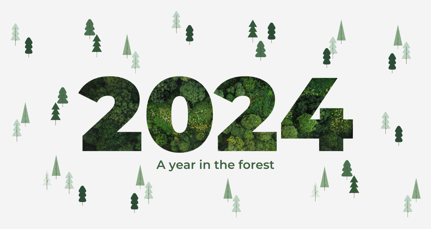 A year in the forest: 2024 achievements | EcoTree