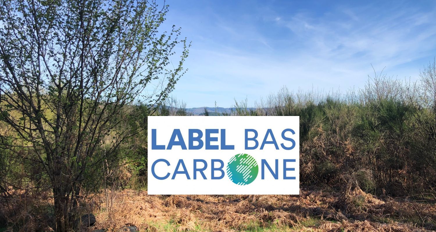 Label bas-carbone : qu’est-ce que c’est, comment l’obtenir ? | EcoTree