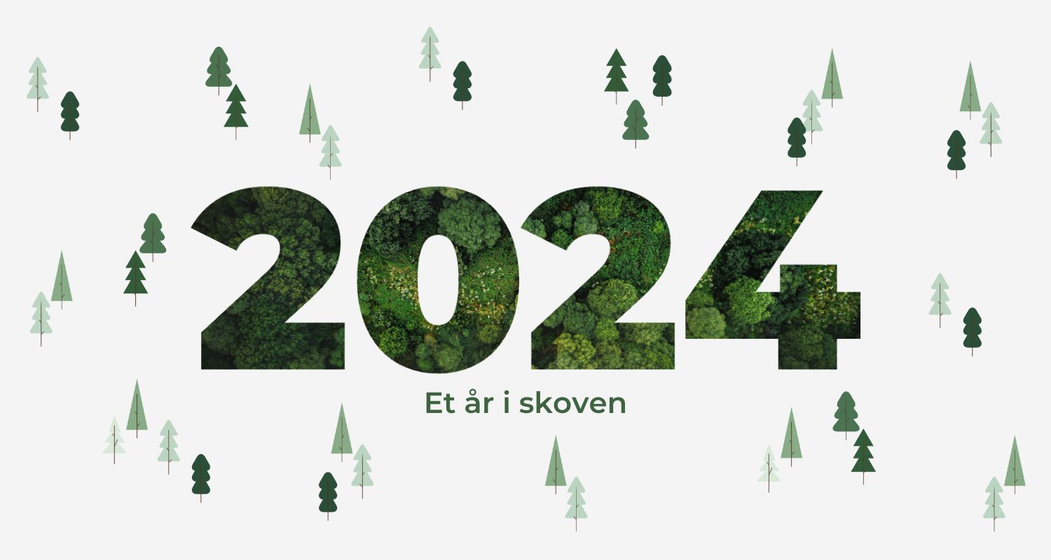 Året der gik: 2024 i skoven | EcoTree