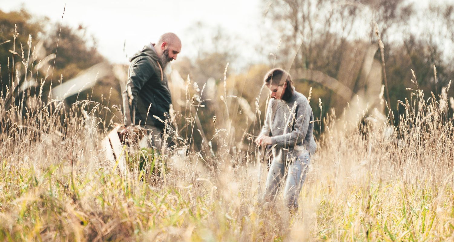 Restauration des écosystèmes forestiers en France | EcoTree