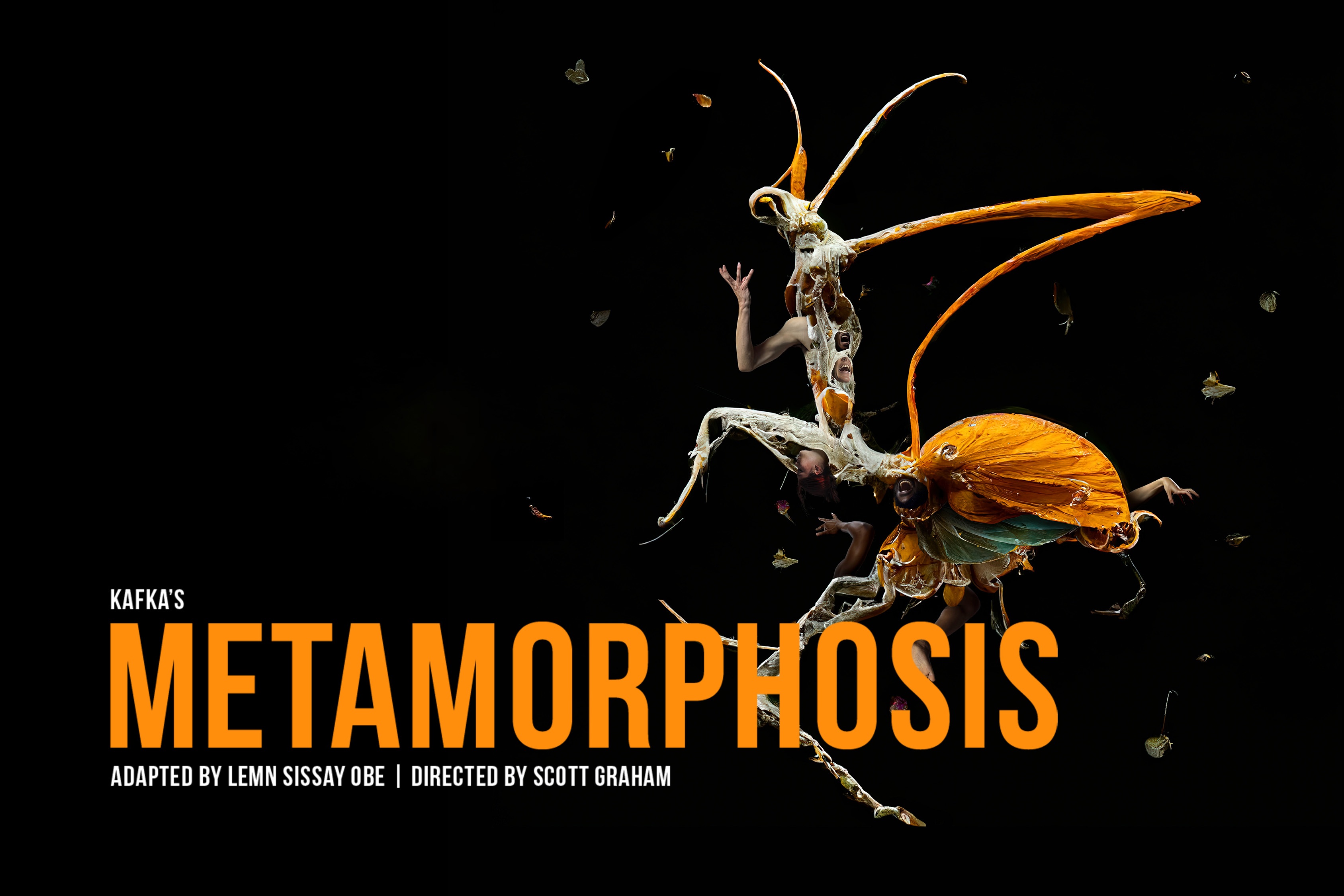 Metamorphosis Kafka Play
