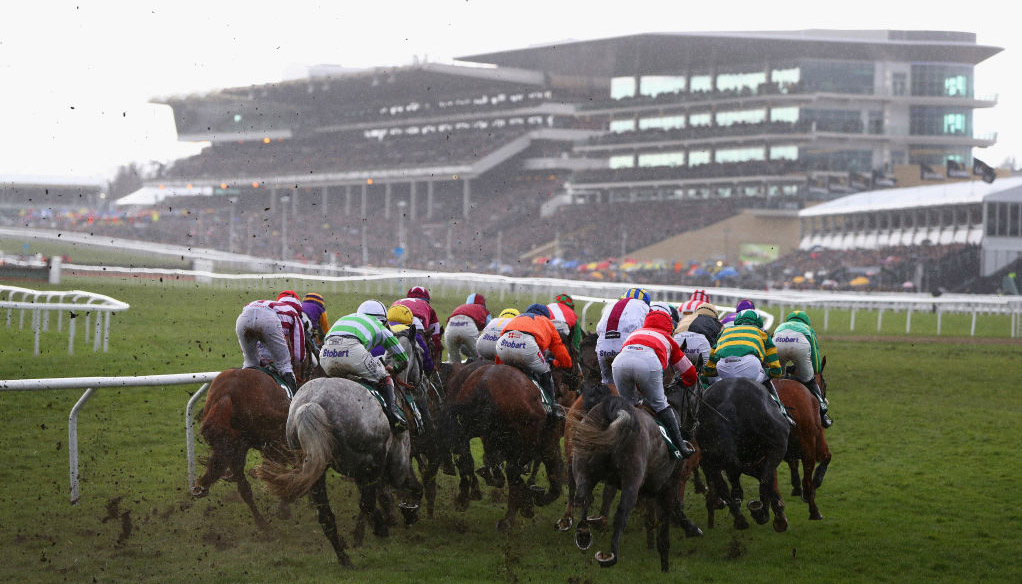 Cheltenham Races Tips, Predictions & Betting Odds | 13/11/2021 | bwin