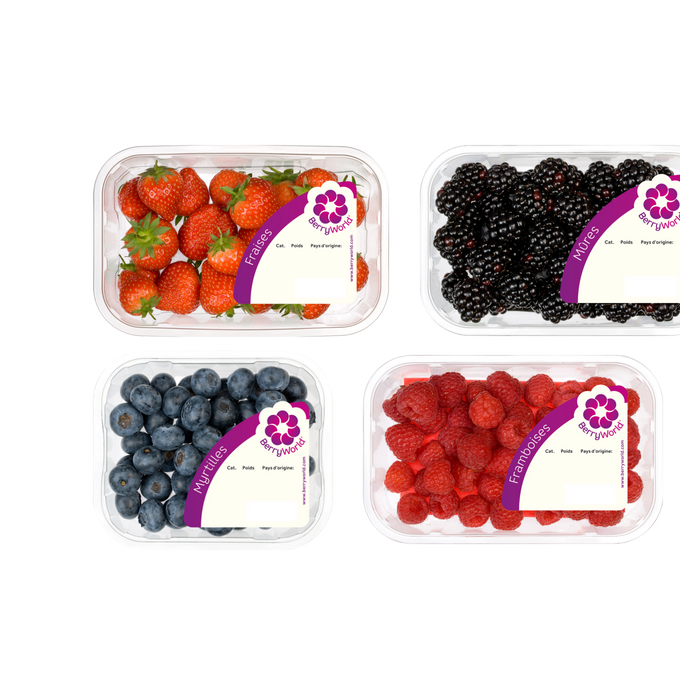 BerryWorld | Fraises, myrtilles, framboises et autres fruits rouges