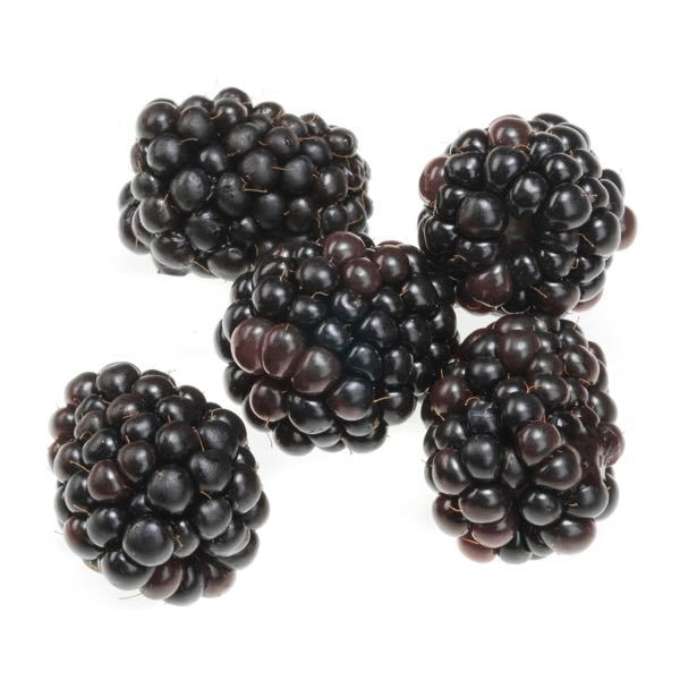 BerryWorld Range of Strawberries, Blueberries, Blackberries & Raspberries