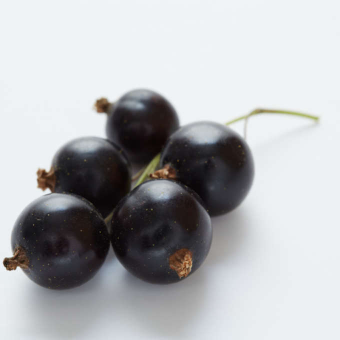 BerryWorld Range of Strawberries, Blueberries, Blackberries & Raspberries