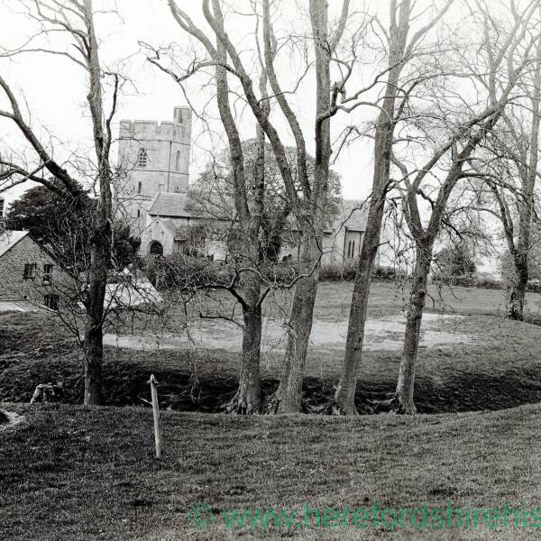 Li2372_Radnorshire_-_Radnor_Old_-_Church_and_castle_(i).jpg ...