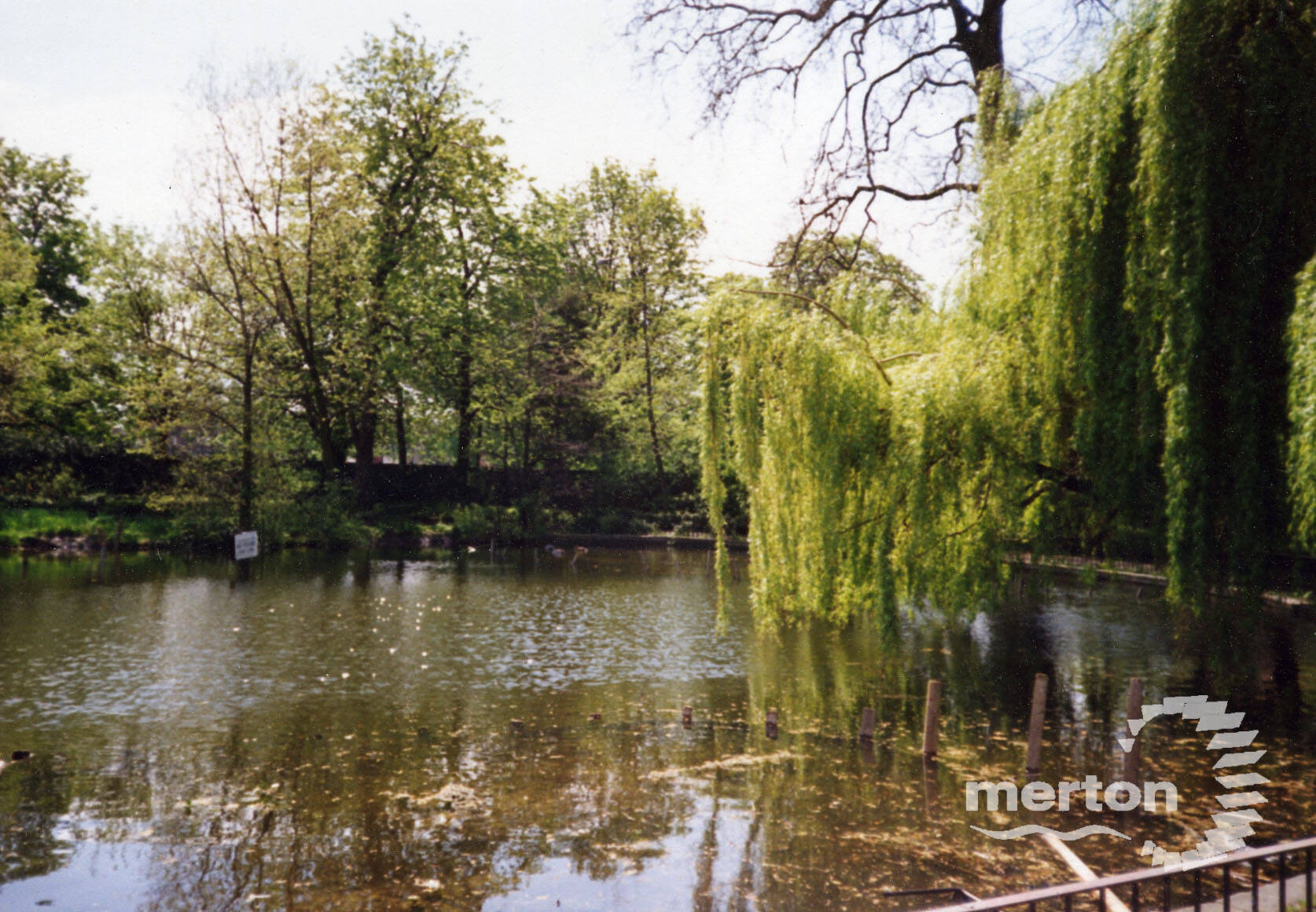 The Canons, Mitcham: Pond in the grounds - Merton Memories Photographic ...