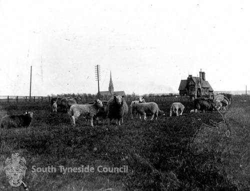 Harton Cemetery - South Tyneside Libraries
