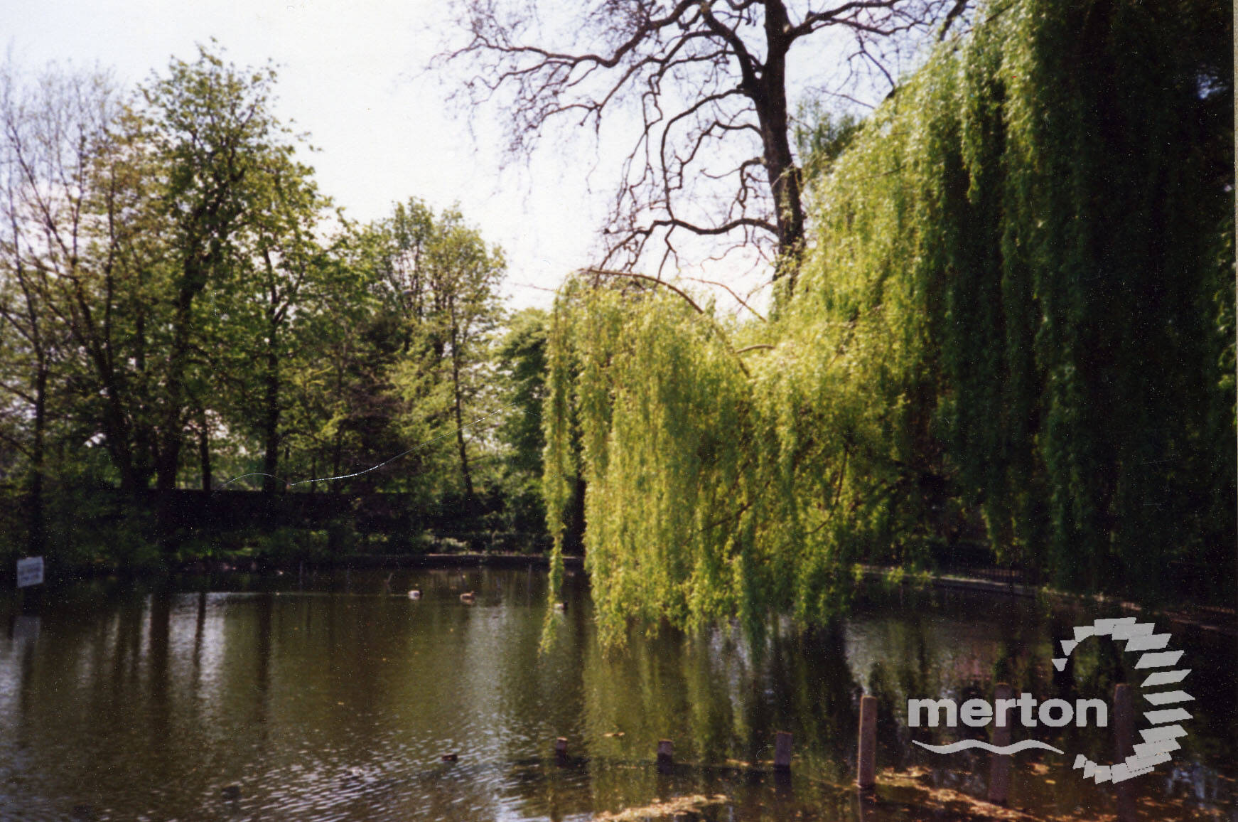 The Canons, Mitcham: Pond in the grounds - Merton Memories Photographic ...