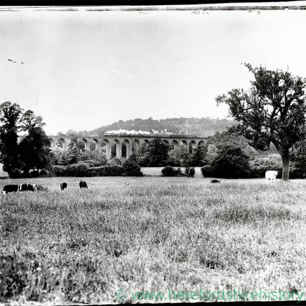 The Viaduct, Ledbury with steam train crossing - Herefordshire History