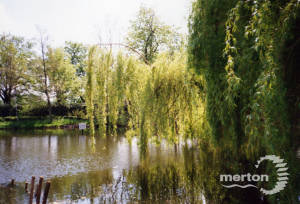 The Canons, Mitcham: Pond in the grounds - Merton Memories Photographic ...