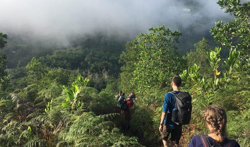 Borneo Trek Expedition - Camps International