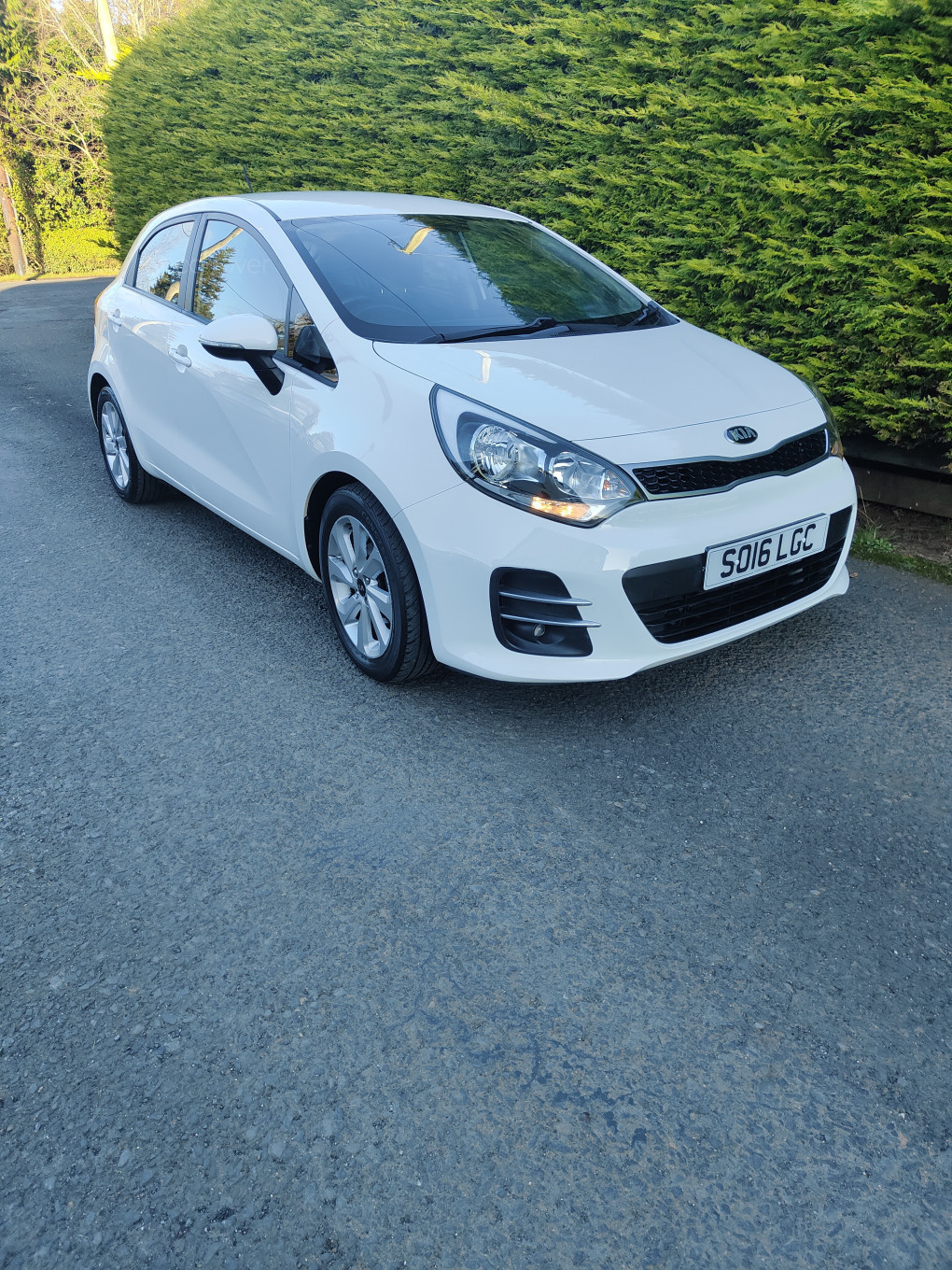 2016 Kia Rio for sale in Castledawson NI | O’Kane Cars Ltd