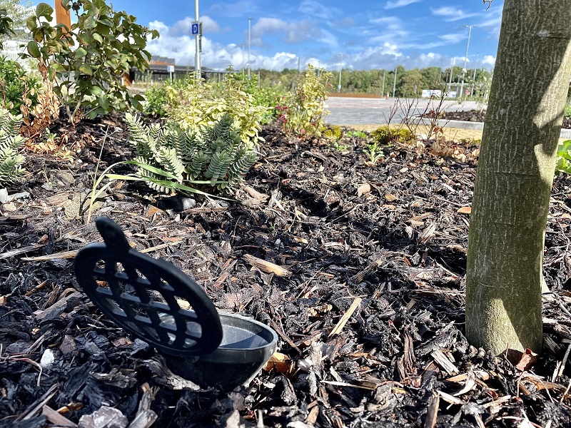 Stunning solar powered Park & Ride goes green in more ways than one ...